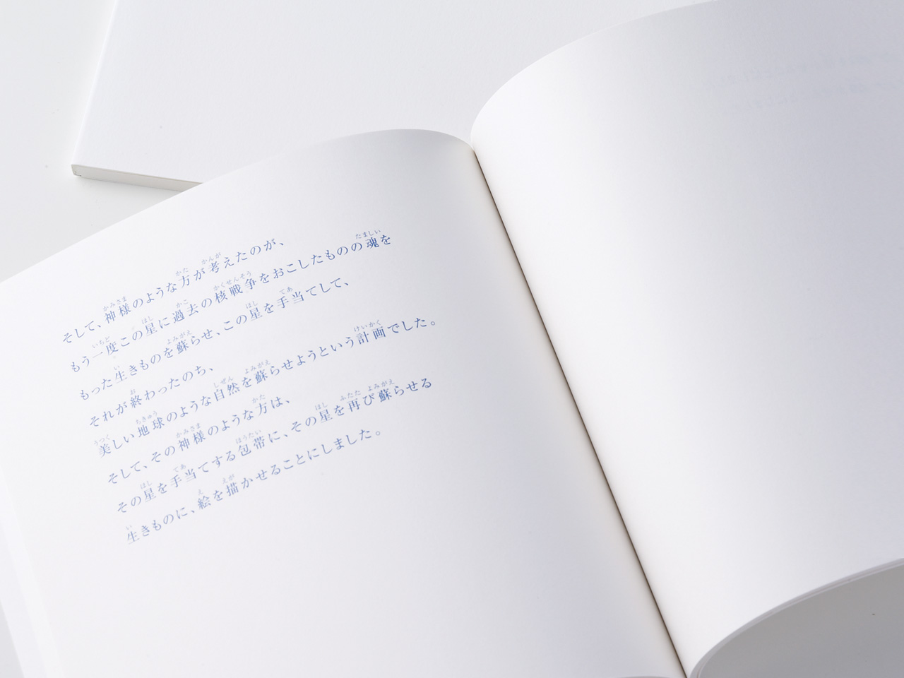 A Picture Book without Pictures Project